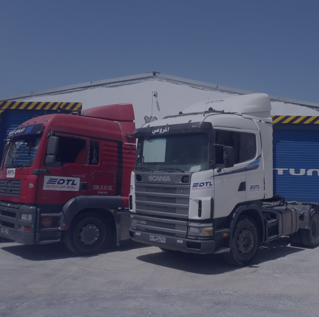 Freight insurance and risk management - DTL Group