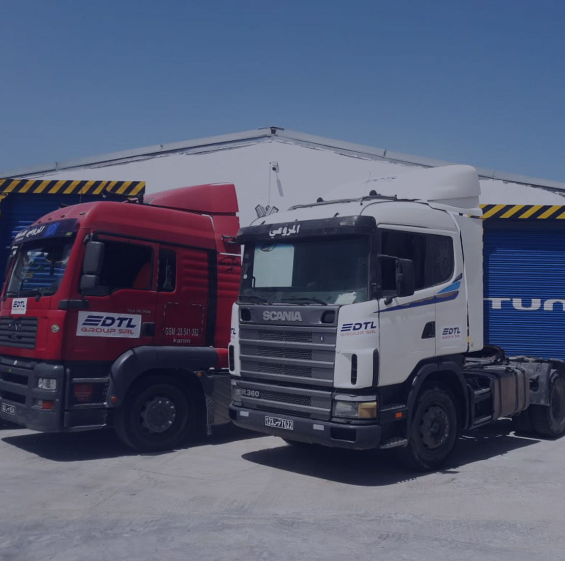 Shipping Options - DTL Group